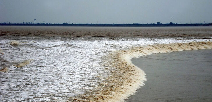 Descubra como ocorre o fenômeno da pororoca - Blog Brasil