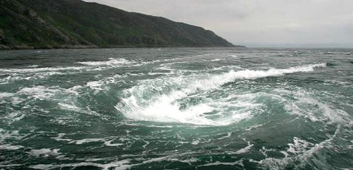 old-sow - Blog Brasil