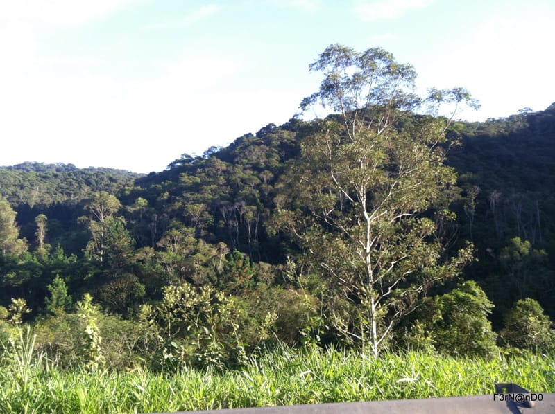 Tudo o Que Você Precisa Saber sobre Juquitiba - São Paulo