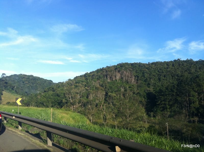 Tudo o Que Você Precisa Saber sobre Juquitiba - São Paulo