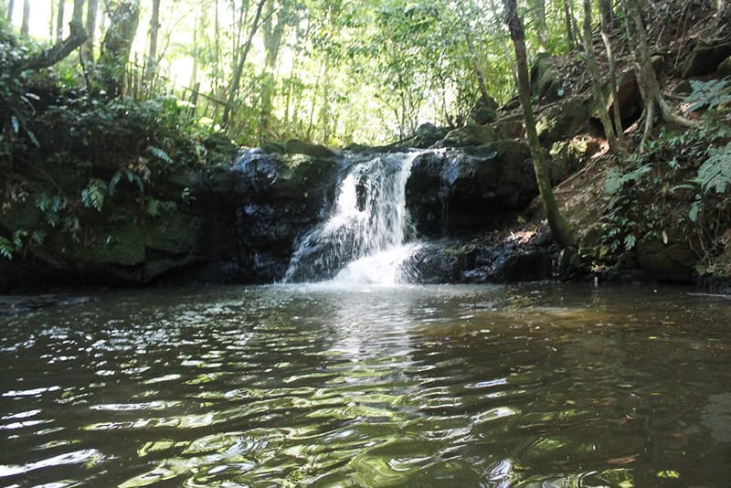 Tudo o Que Você Precisa Saber sobre Juquitiba - São Paulo